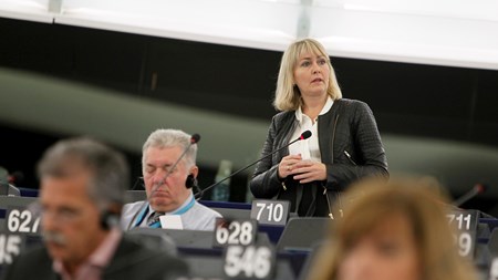 Her er de danske EU-parlamentarikeres udvalgsposter - Altinget