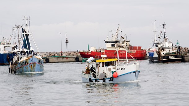 Ingen nye penge til fiskeriet - Altinget