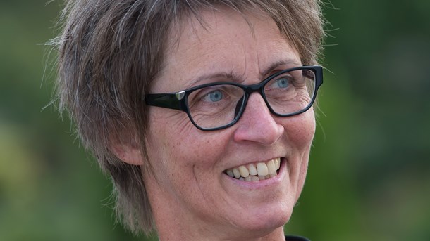 Nyvalgt fra Alternativet: EL og SF har trukket S i en klimarigtig retning. Det kunne vi ikke ...