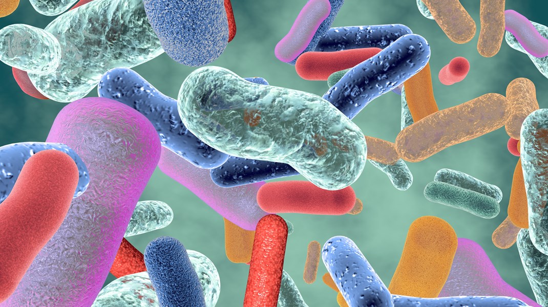 Menneskets mikrobiom – en biologisk guldmine - Altinget