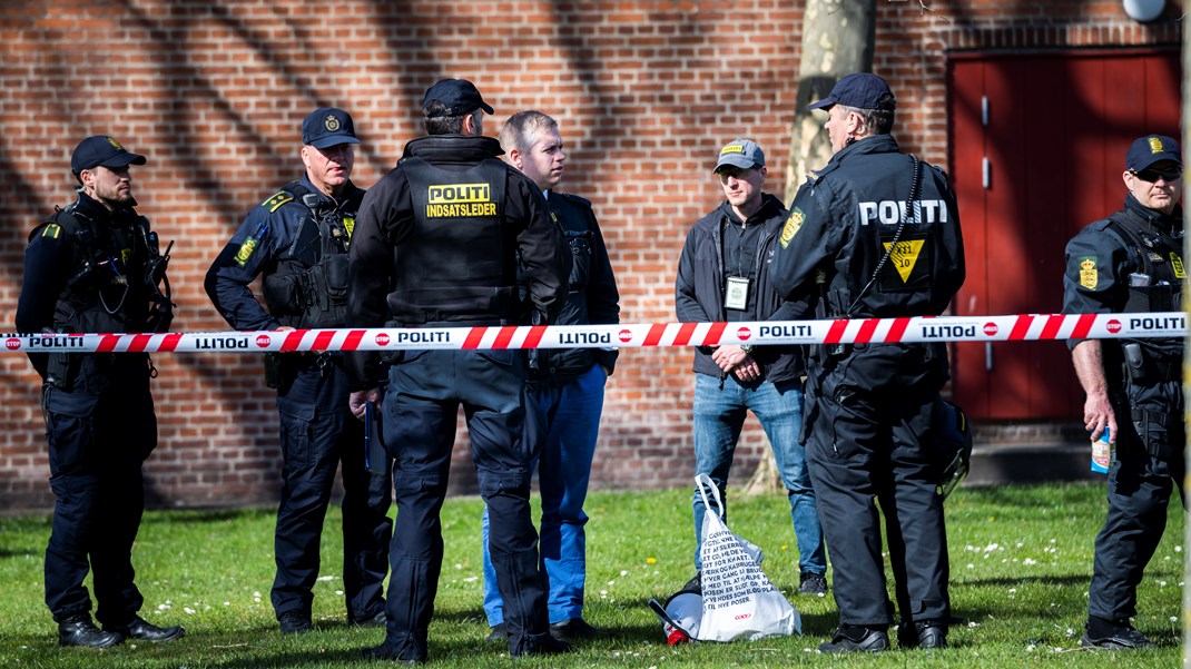 Ali Aminali: Har Paludan tvunget minoritetsetniske danskere til at ...