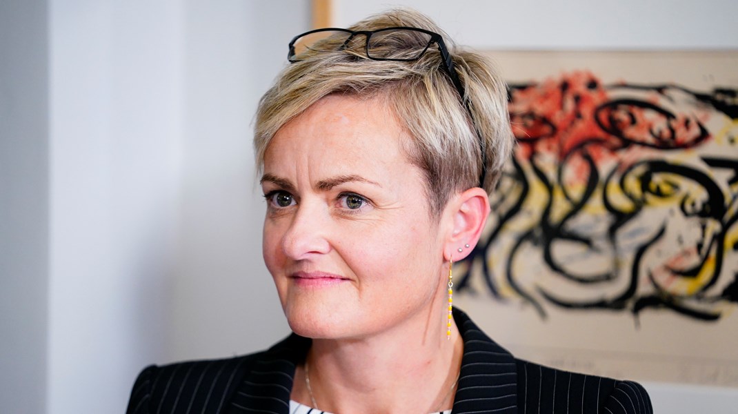 Rosenkrantz-Theil under samråd om døgninstitutioner: Vi bliver nødt til at kigge på ...