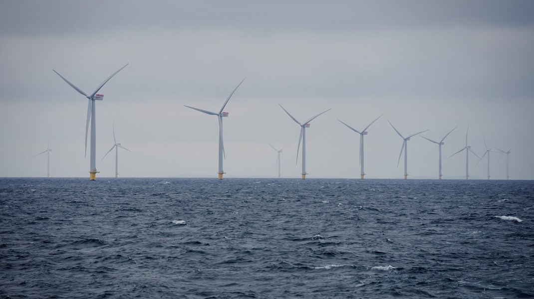 Aftale om havvind sikrer en halv milliard til havnatur - Altinget