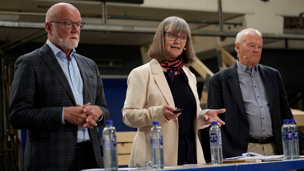 Lektor og tidligere studieleder: Der er kun behov for én enkelt ungdomsuddannelse - Altinget