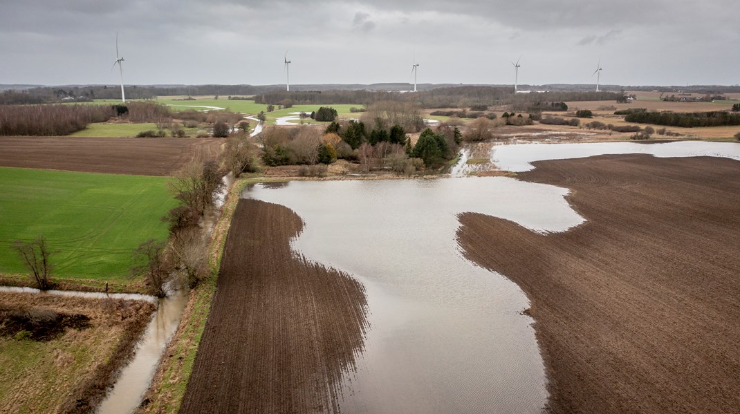 Landbrug og Fødevarer finder leder for vand- og naturafdeling hos ...