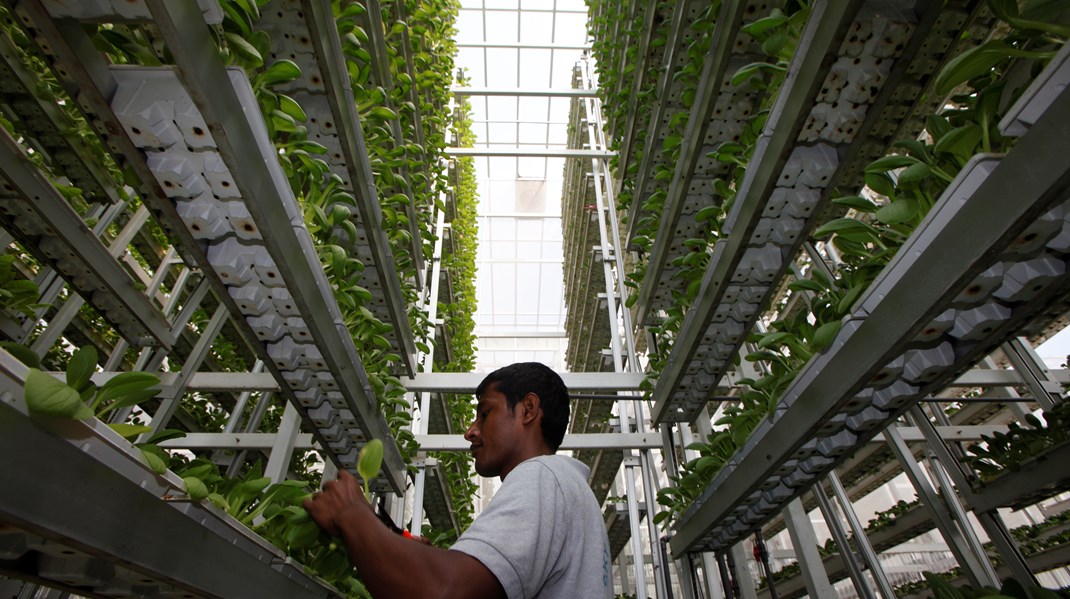 Opsamling på temadebat : Biosolutions er fremtiden – også i Danmark - Altinget