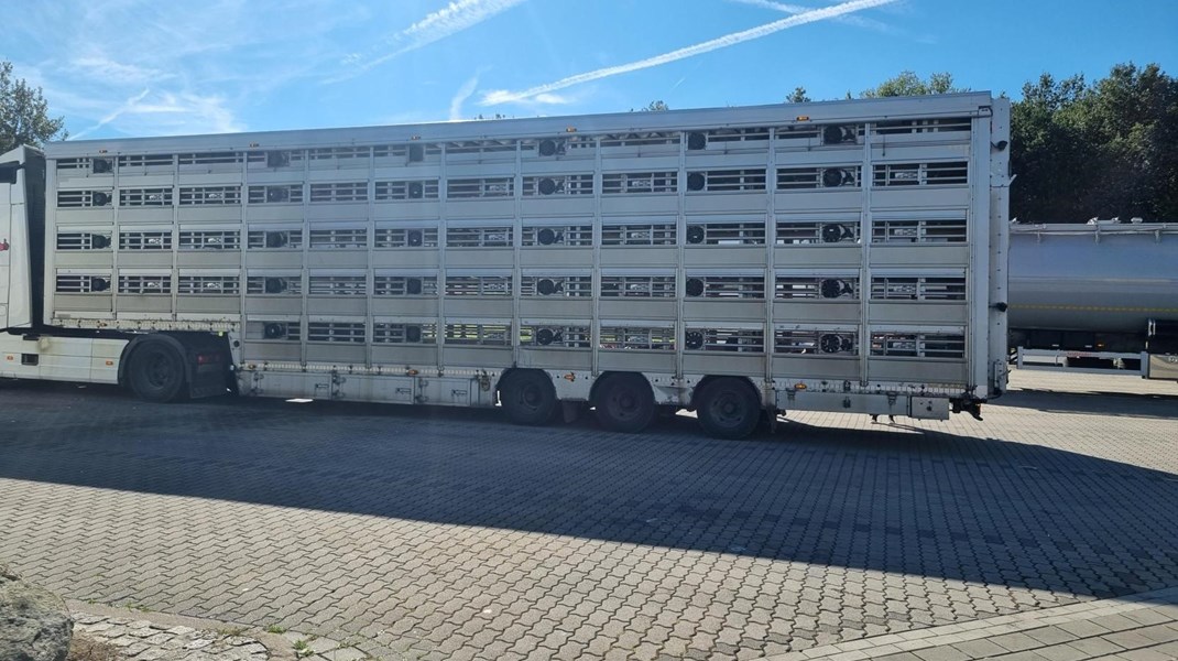 Regeringens tidsplan for højdekrav til svinetransporter skrider - Altinget