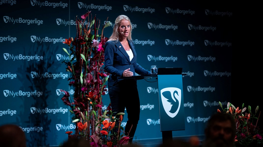 Pernille Vermund: ”Hvor er det dog rædsomt at se landskabet lagt øde ...