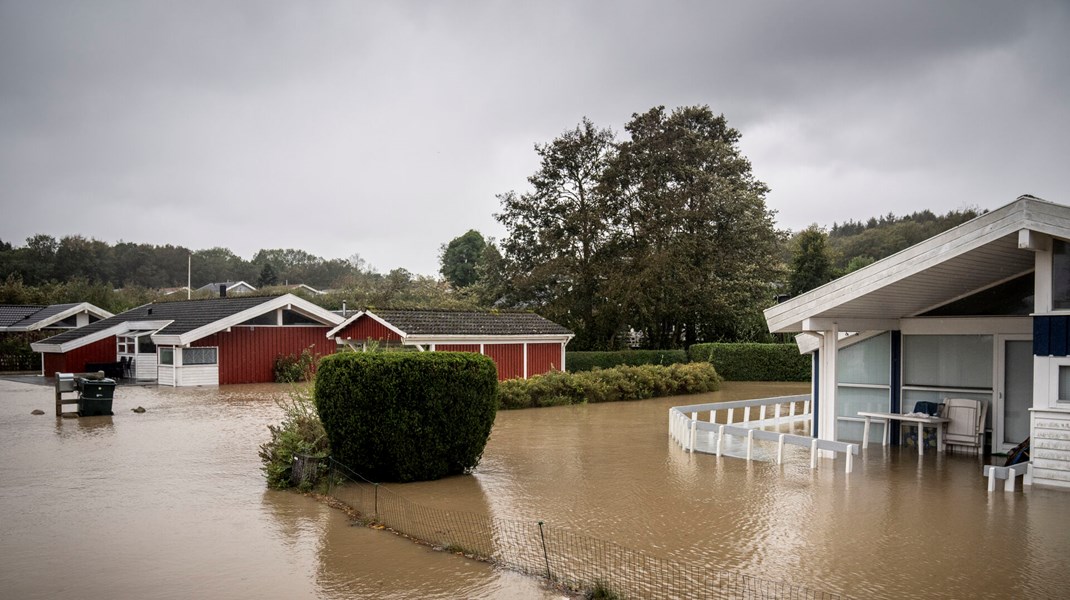 Maria Skotte - Altinget: klima