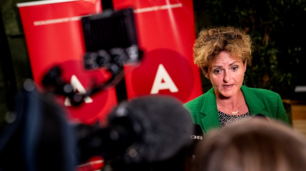 Rosenkrantz-Theil ansætter kampagnefolk til kommunalvalget - Altinget: Kommunal