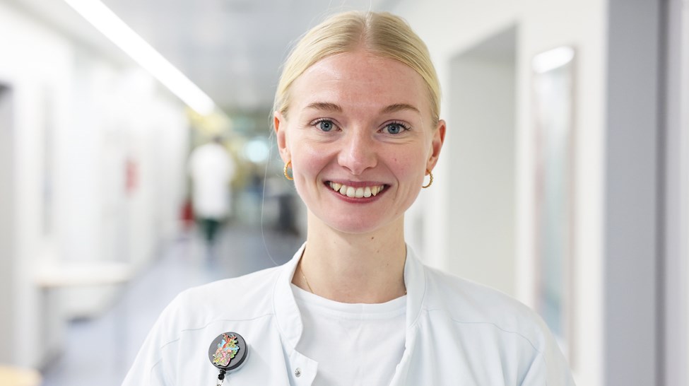 Lundbeckfondens tildeler seks unge forskere prestigefyldt pris - Altinget