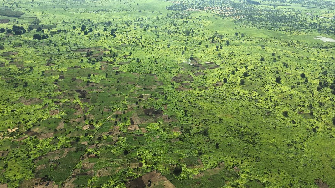 Verdens Skove forfremmer to medarbejdere til generalsekretærer - Altinget