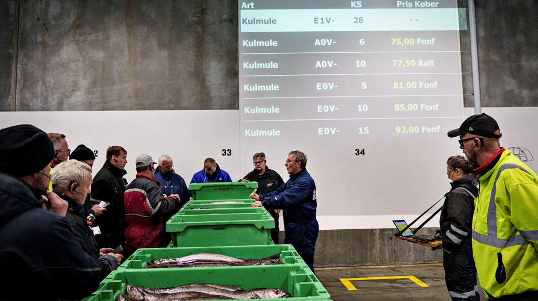 Centrale forskere gør op med talkrig om aflyst CO2-afgift og landinger ...