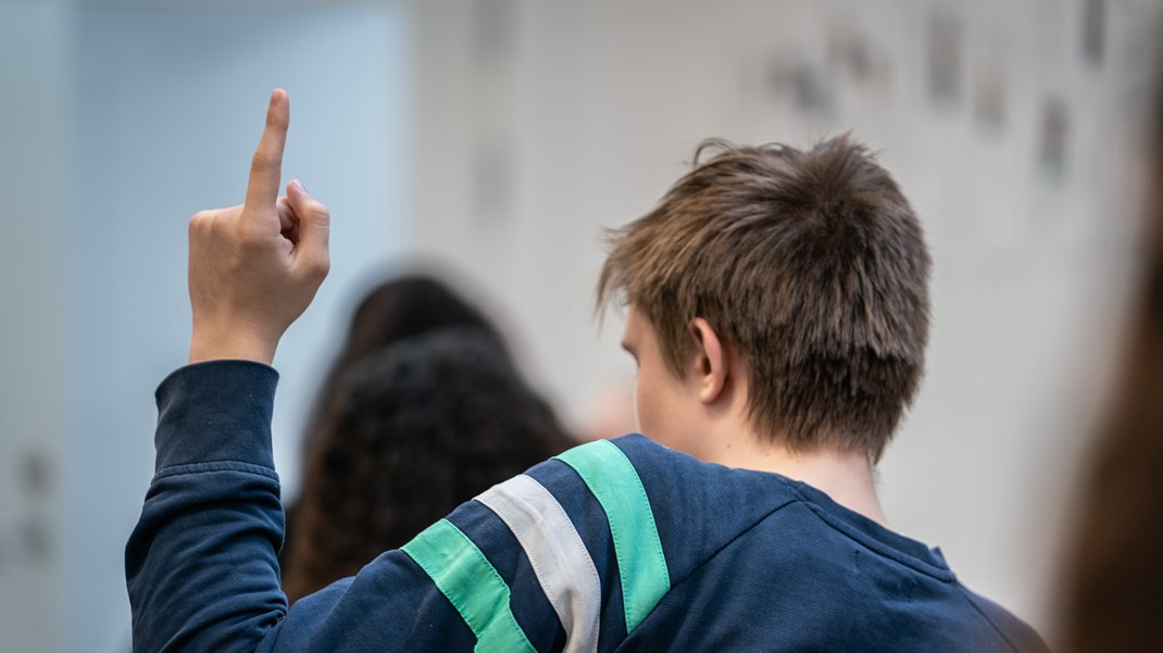 Oversætter: En lukning af Den Danske Ordbog vil kunne legitimere brugen ...