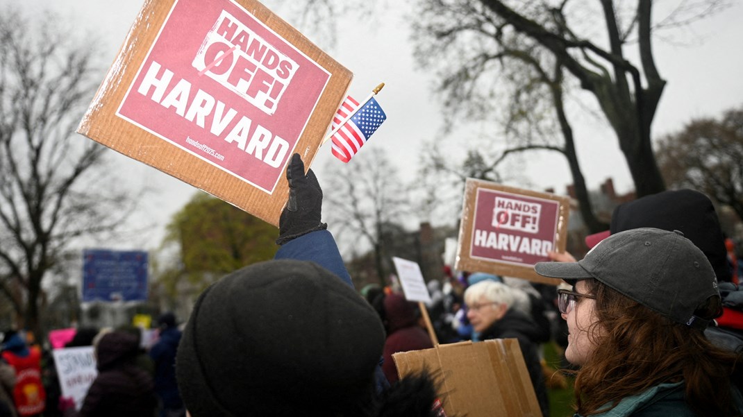 Dansk studerende havnede midt i Trumps angreb på Harvard. I ny bog ...